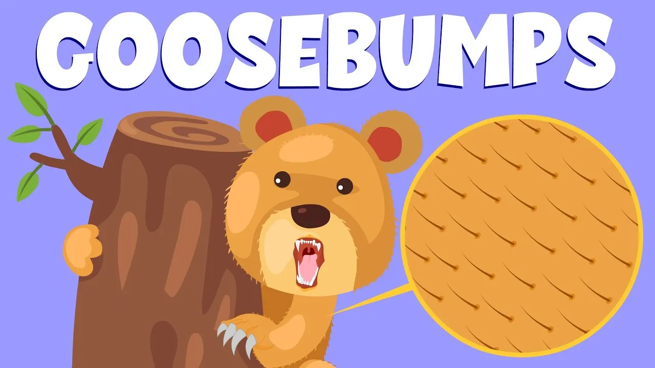 Why Do You Get Goosebumps? - Here Is All You Need To Know About ...