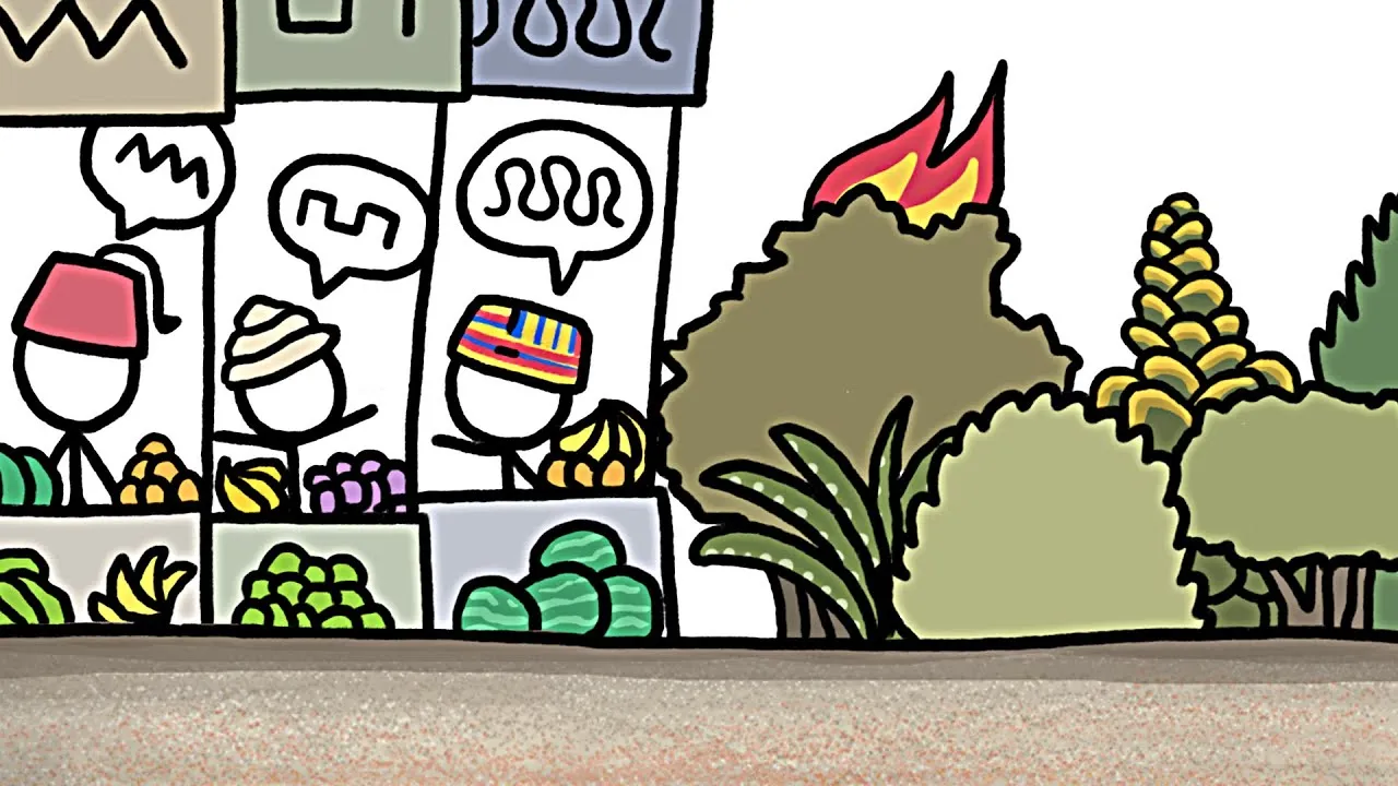 Why Poor Places Are More Diverse - ClassX