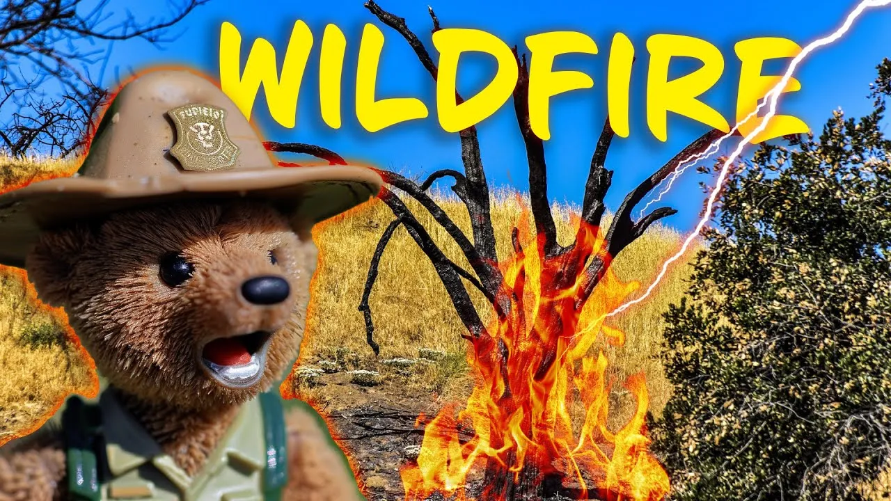 Wildfires: Causes & staying safe ???? Nature Earth Science - ClassX