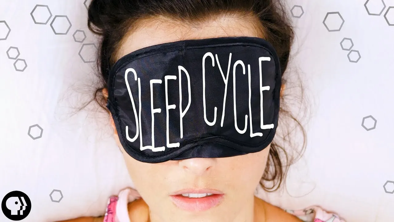 Your Biological Clock at Work - ClassX