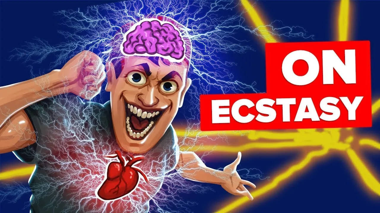 Your Body On Ecstasy (MDMA) - ClassX