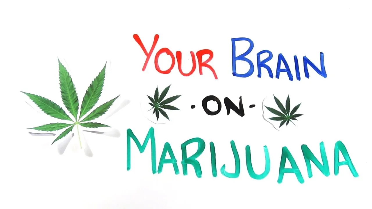 Your Brain on Drugs: Marijuana - ClassX