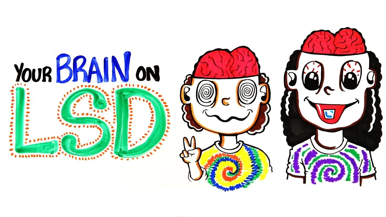 Your Brain on LSD and Acid - ClassX