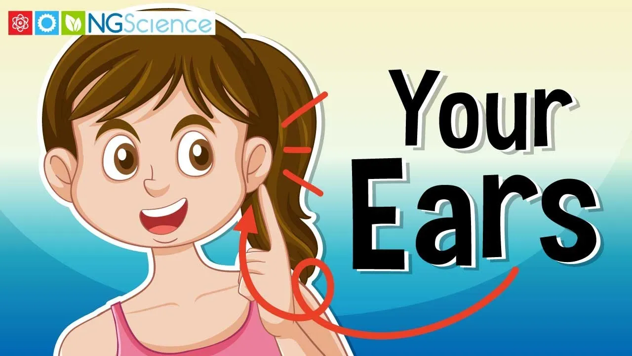 Your Ears - ClassX