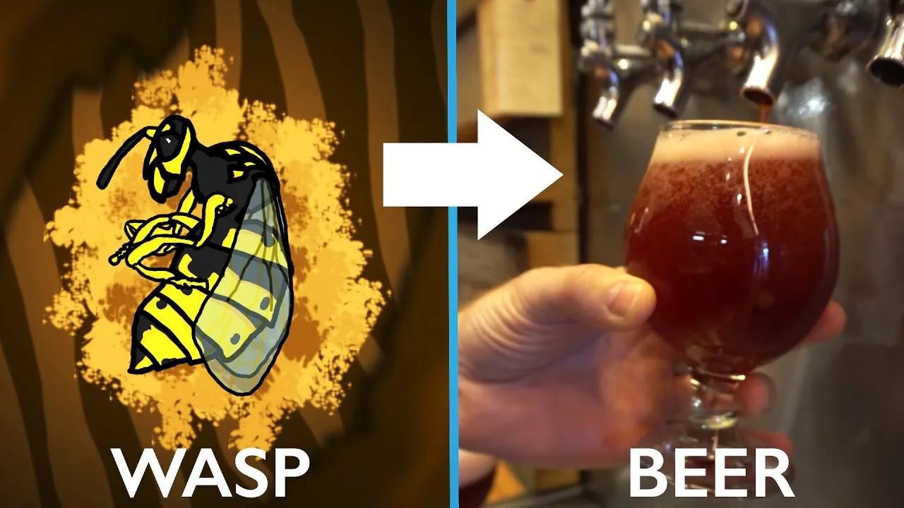 Beer Made With Wasp Guts!! - ClassX