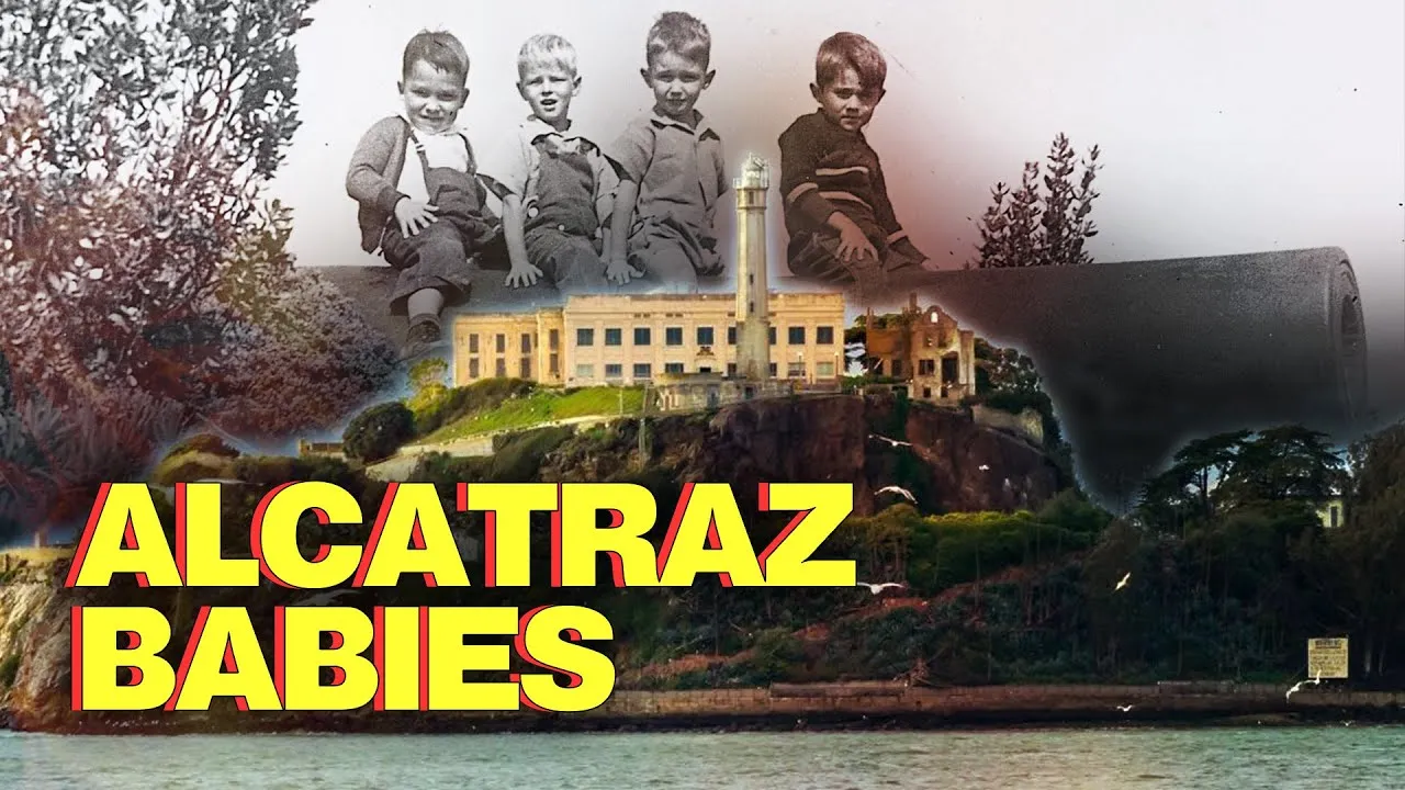 Life of an Alcatraz Baby - ClassX